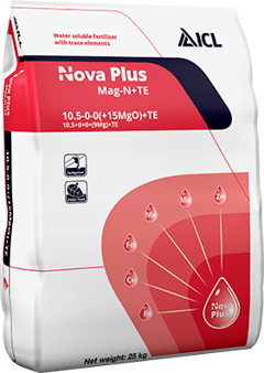 Nova - Water-Soluble Straight Fertilizer for Crops | ICL