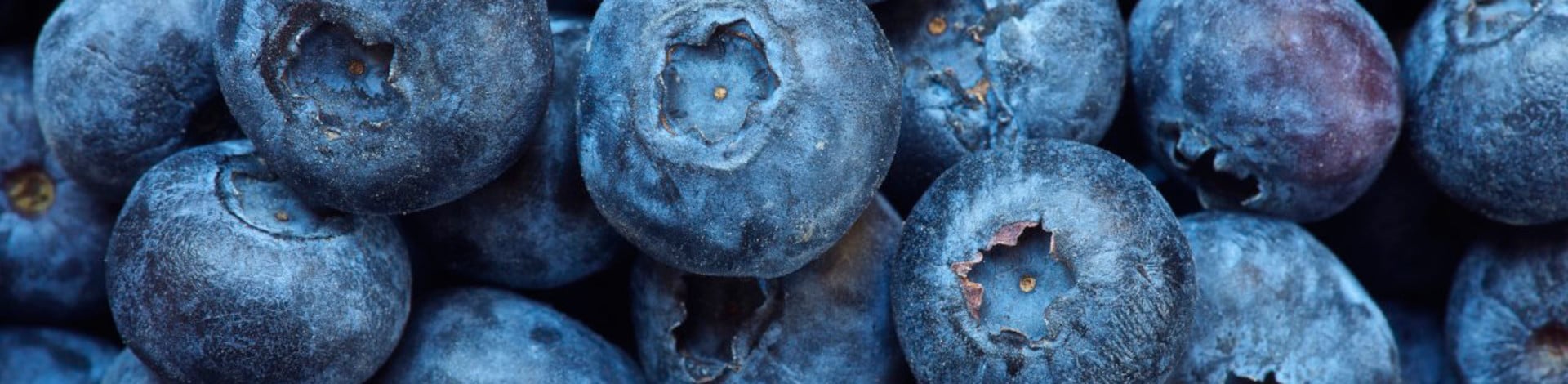 Agriculture - Fertilizers and Solutions | ICL