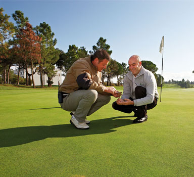 ICL: Growing Solutions for Crops, Plants & Turf Grass